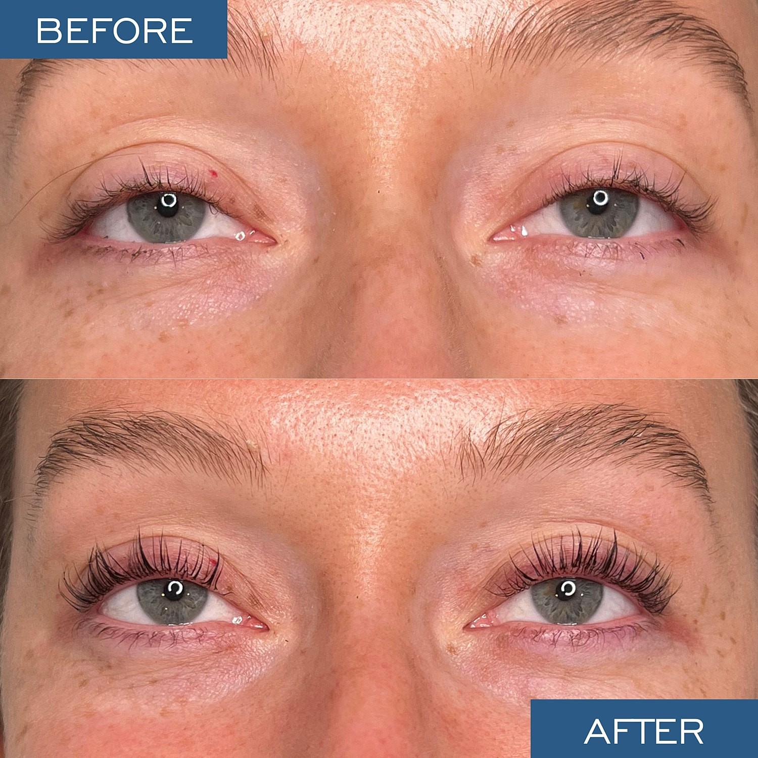 Lash Services Charlottesville | Charlottesville Eyelash Treatment ...